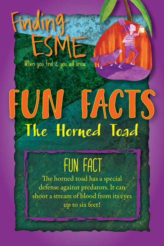 Guides – Suzanne Crowley